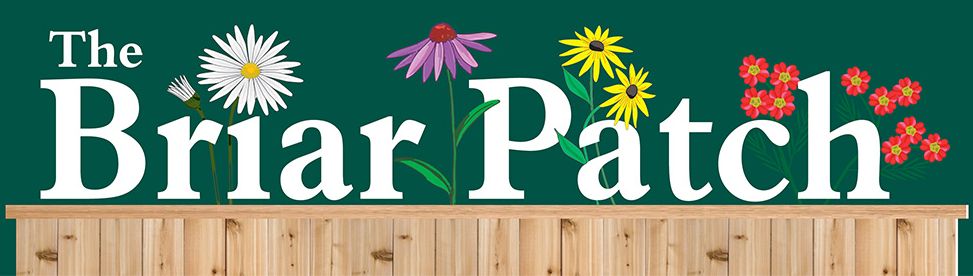 Plant Garden | Mattawan, MI | The Briar Patch