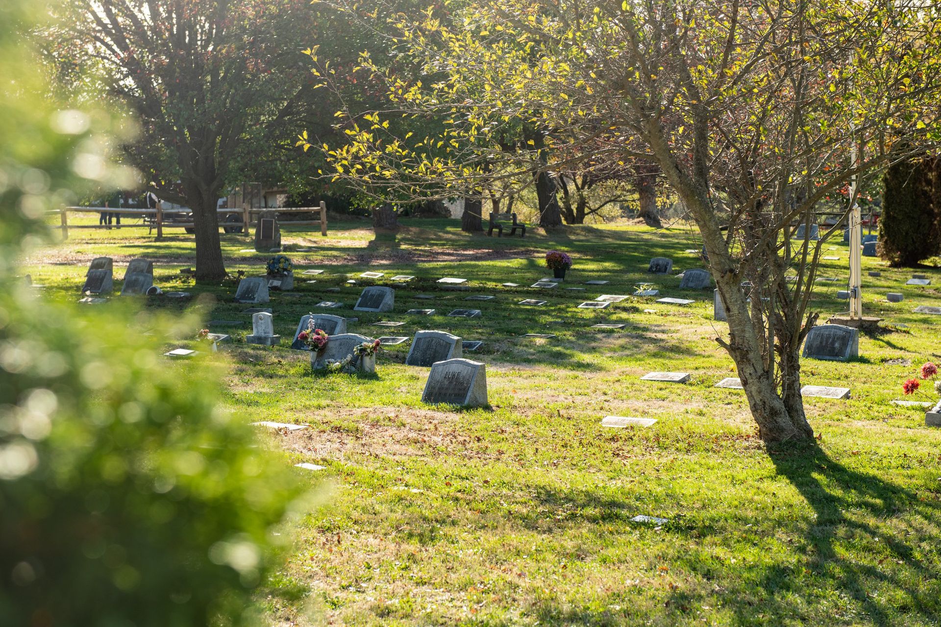 Cremation and Burial Services
