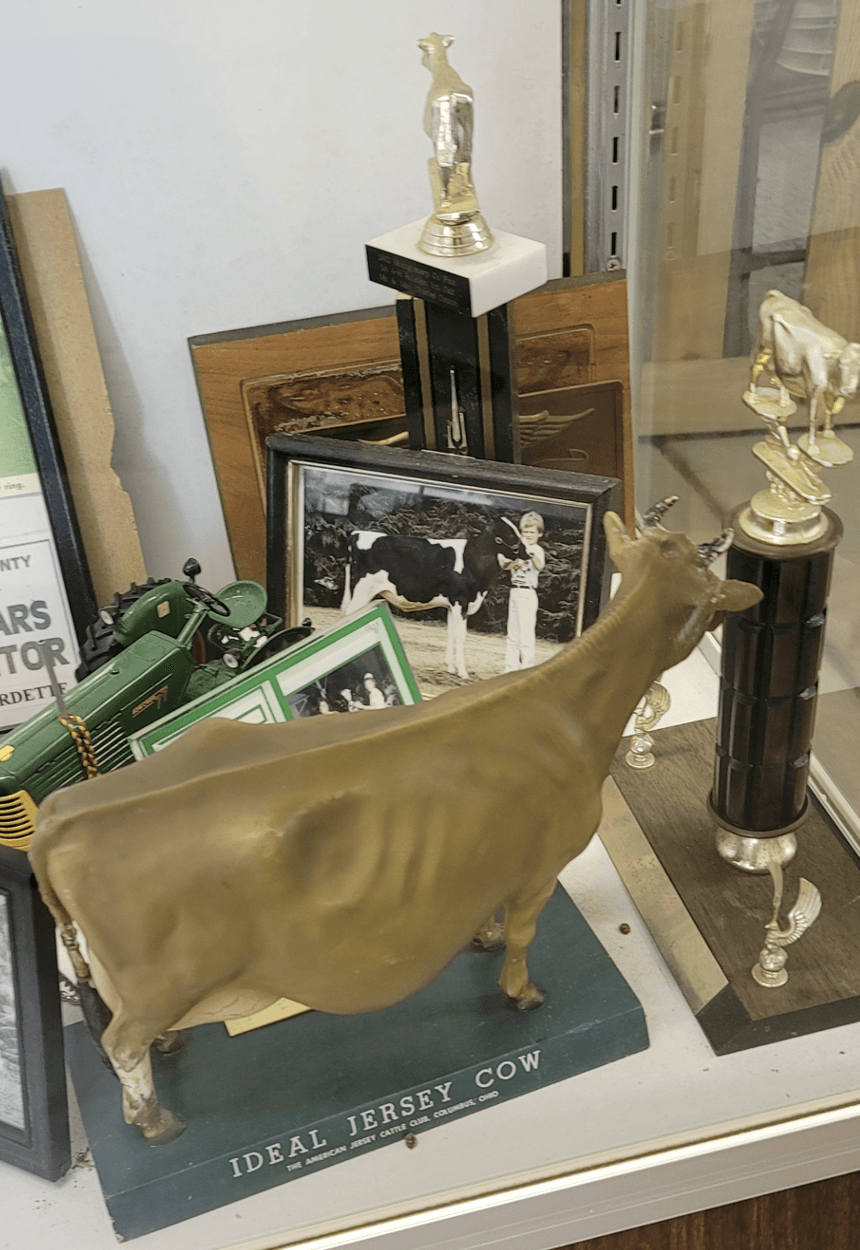 Virtual Tour Dairy Cow Awards at the King Barn Dairy Mooseum | Hertiage ...