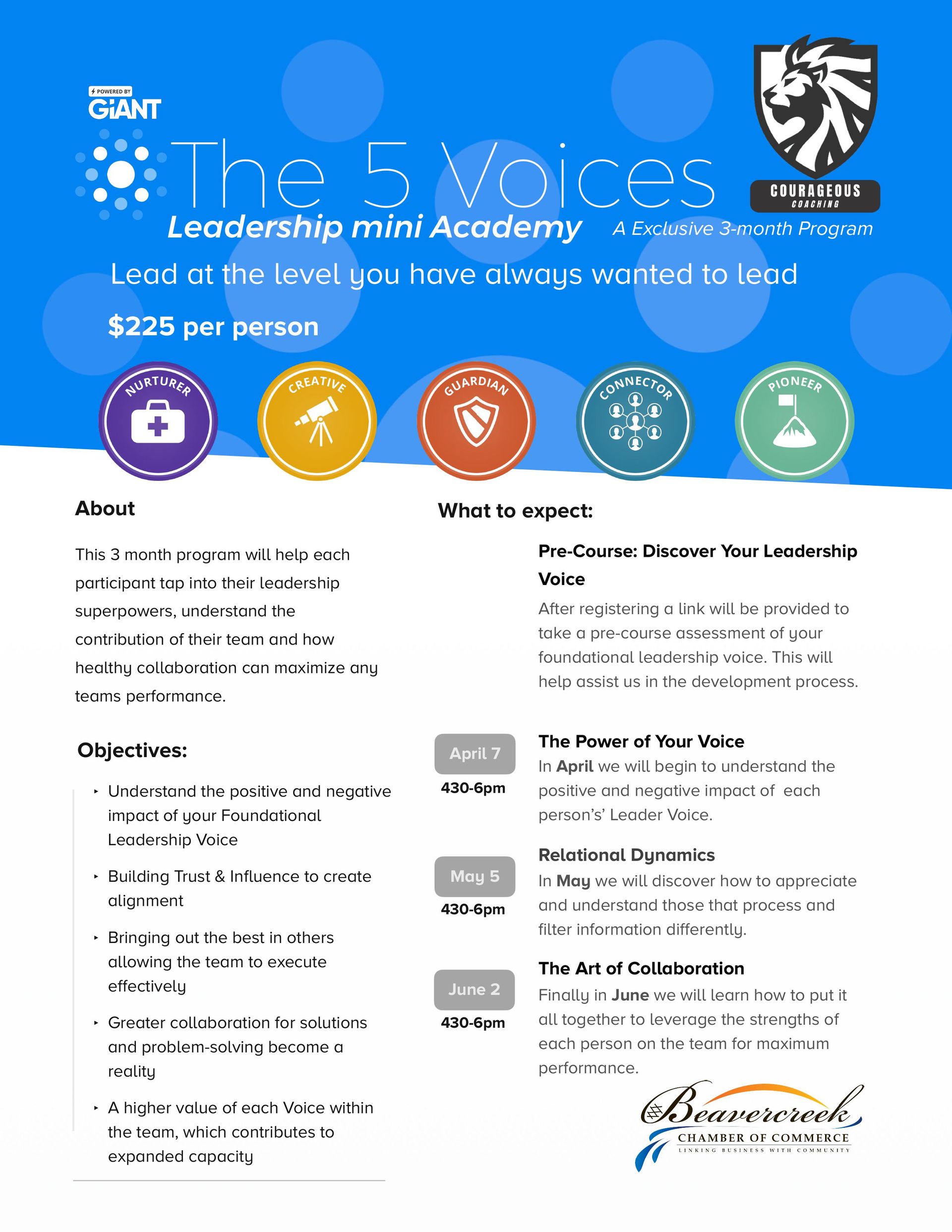 The 5 Voices Leadership Mini Academy
