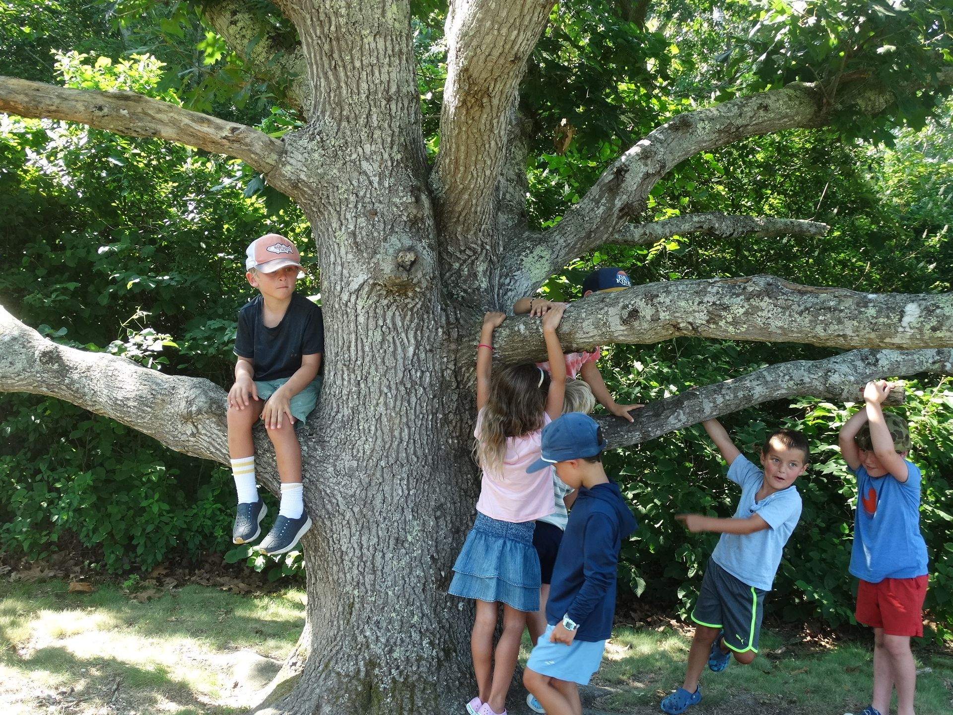 After School Explorers | Summer Discovery Programs | Maria Mitchell ...