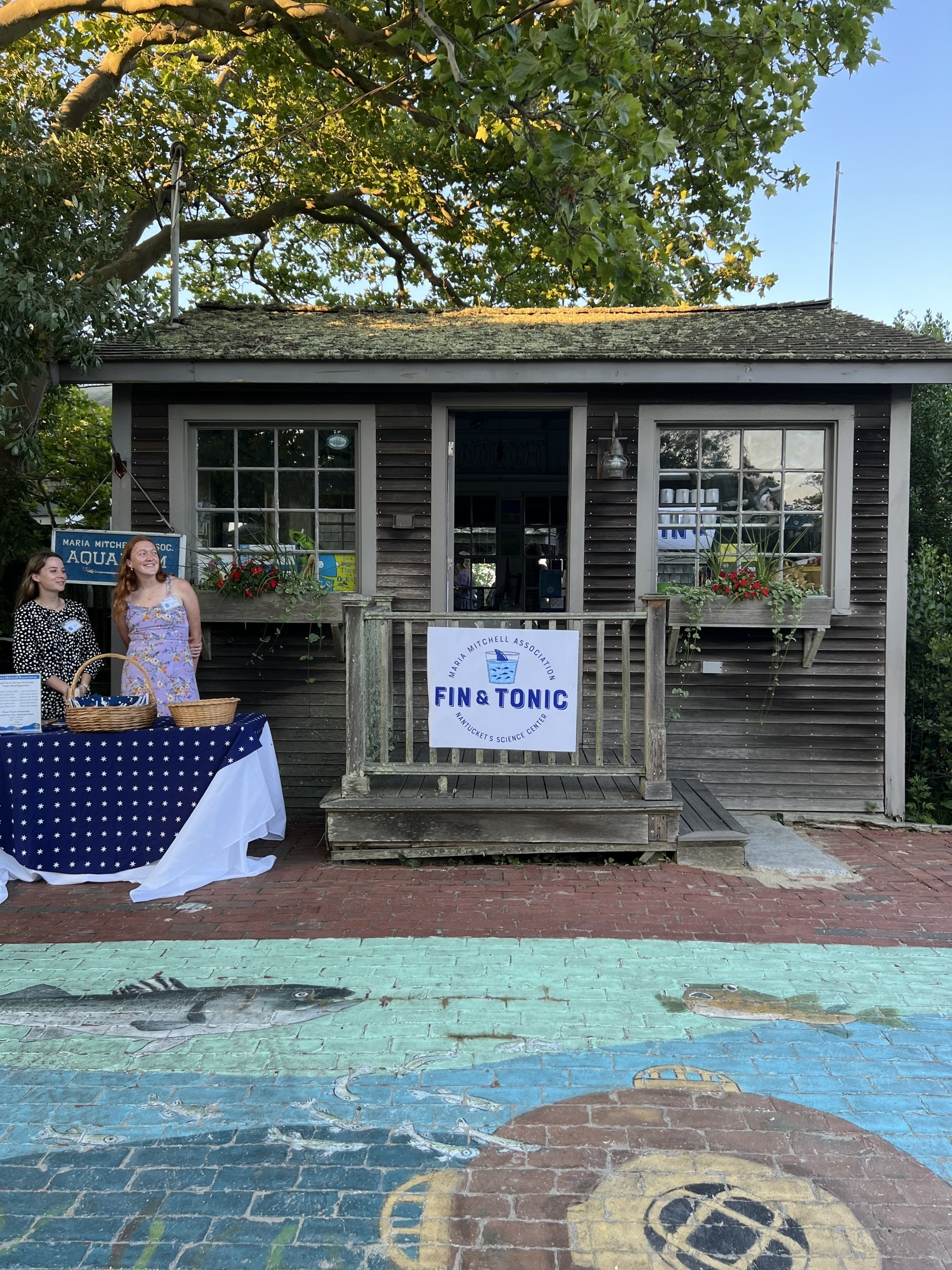 Internships & Fellowships | Maria Mitchell Association