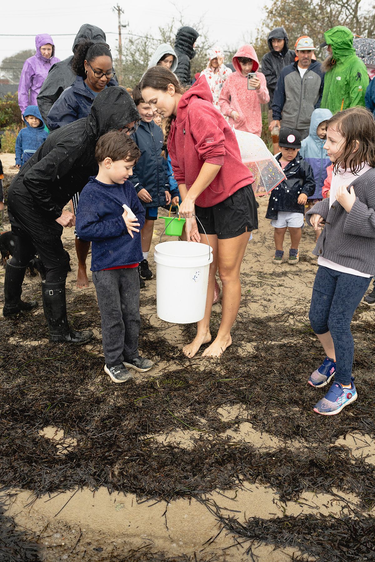 Internships | Maria Mitchell Association