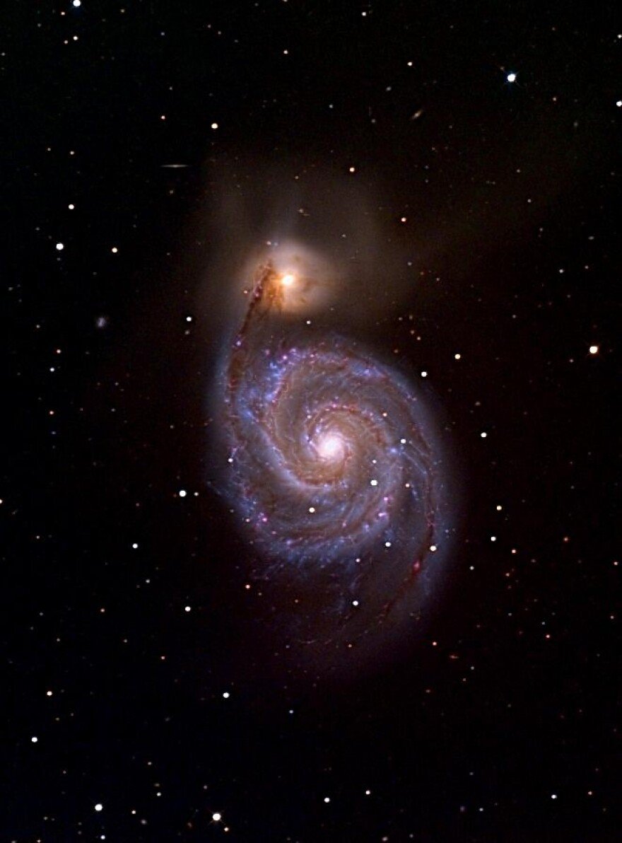 Stargazing at Loines Observatory | Maria Mitchell Association