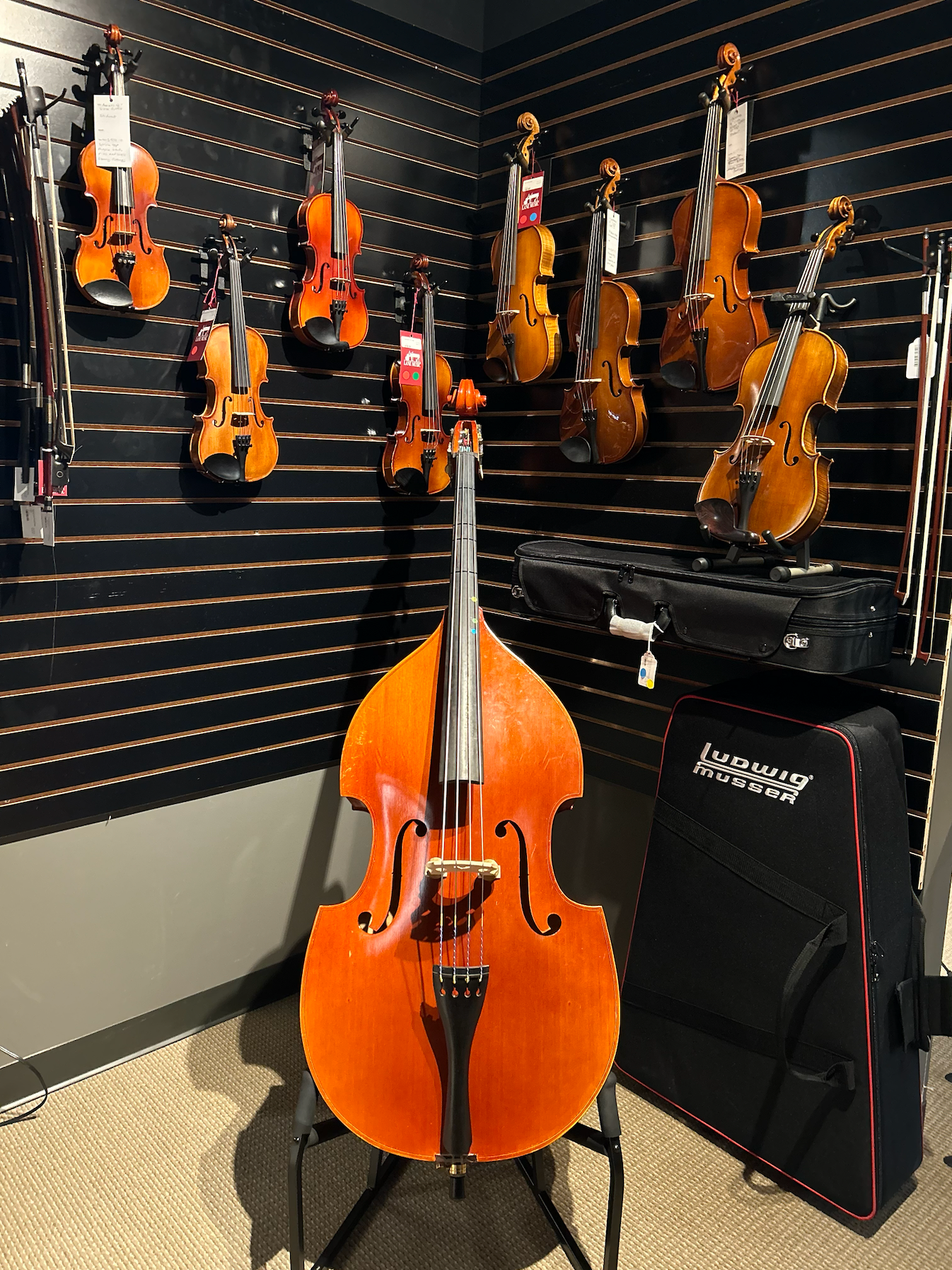 Band + Orchestra Instruments in Nashville | Lane Music