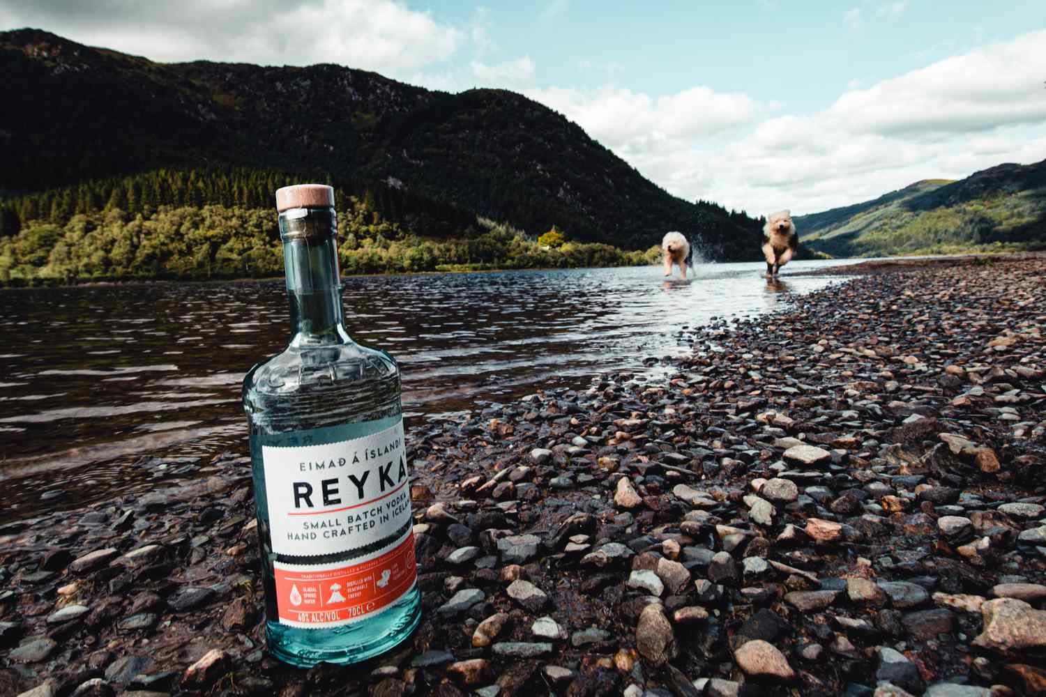 Your guide to Icelandic alcohol and liquor