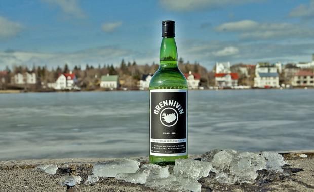 Your guide to Icelandic alcohol and liquor