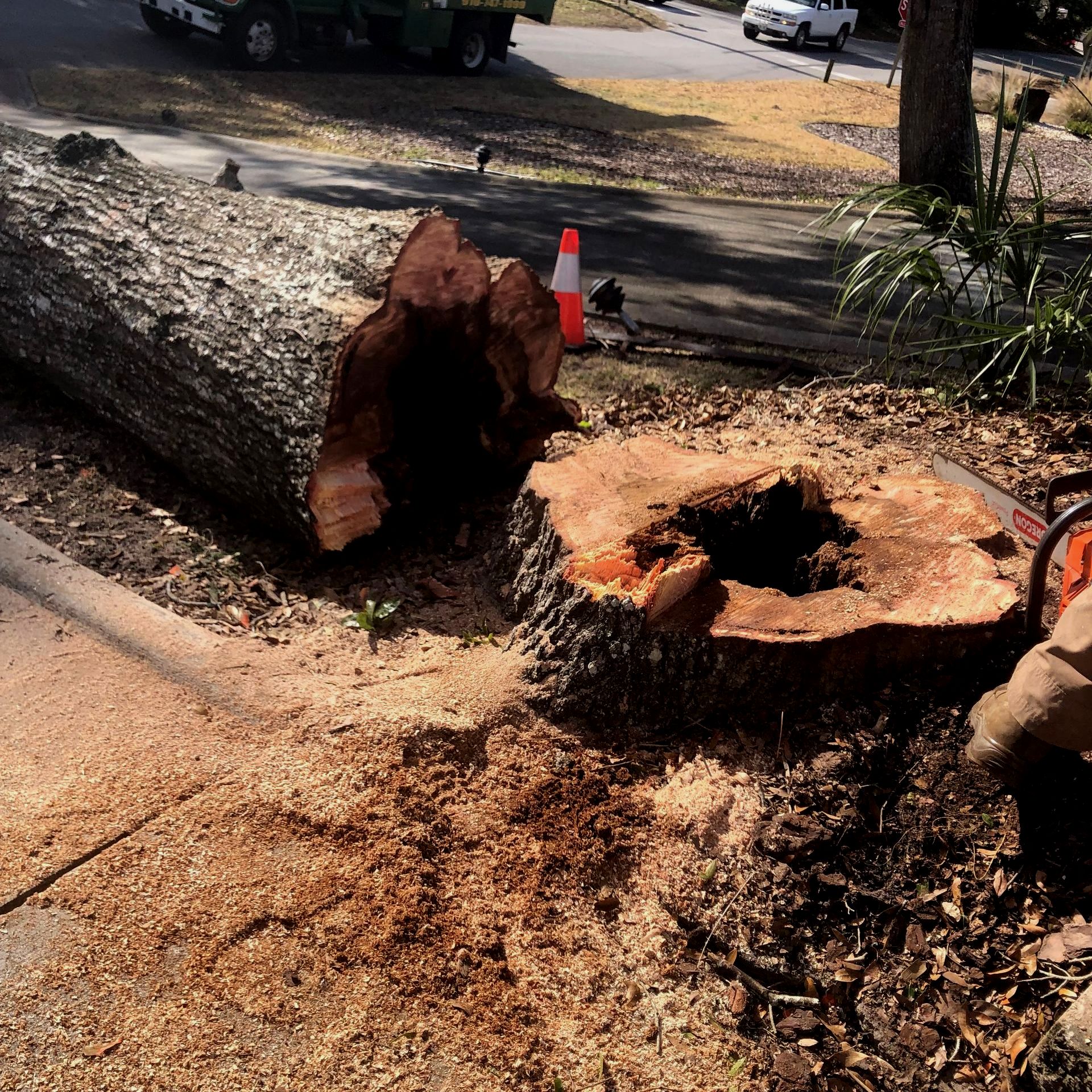 Best Tree Service in Jacksonville, NC - Badger Tree Service