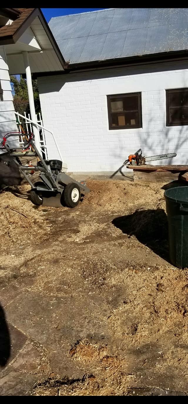 HOME | Peak View Tree Service LLC | Flagstaff, AZ