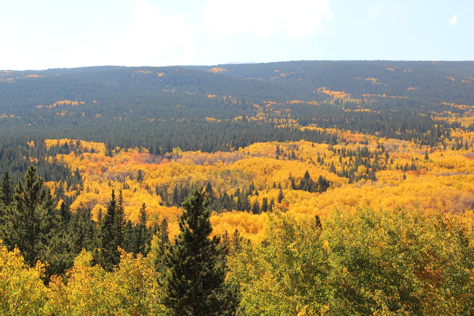 Full Gallery - Sunshine Mountain Lodge, Allenspark, Colorado
