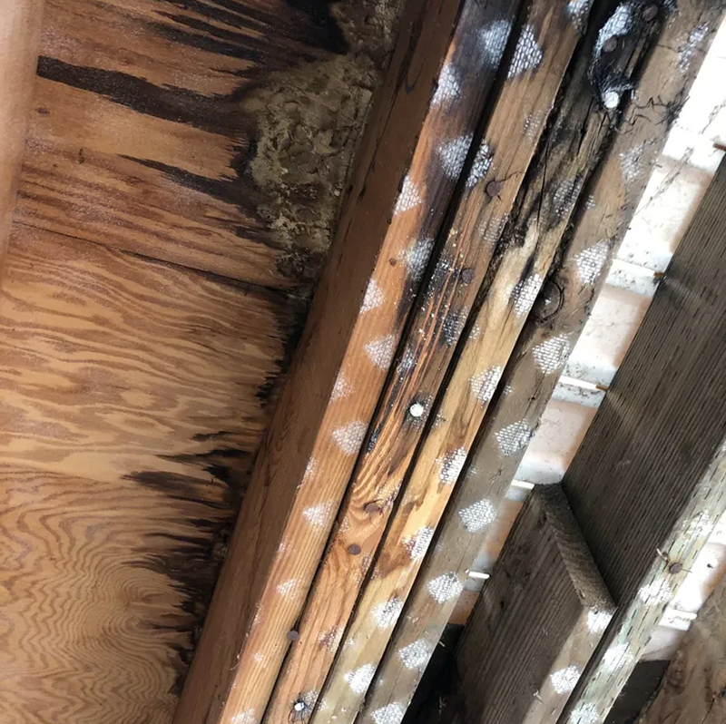 Decking and Balcony Repairs | EmpireWorks Reconstruction