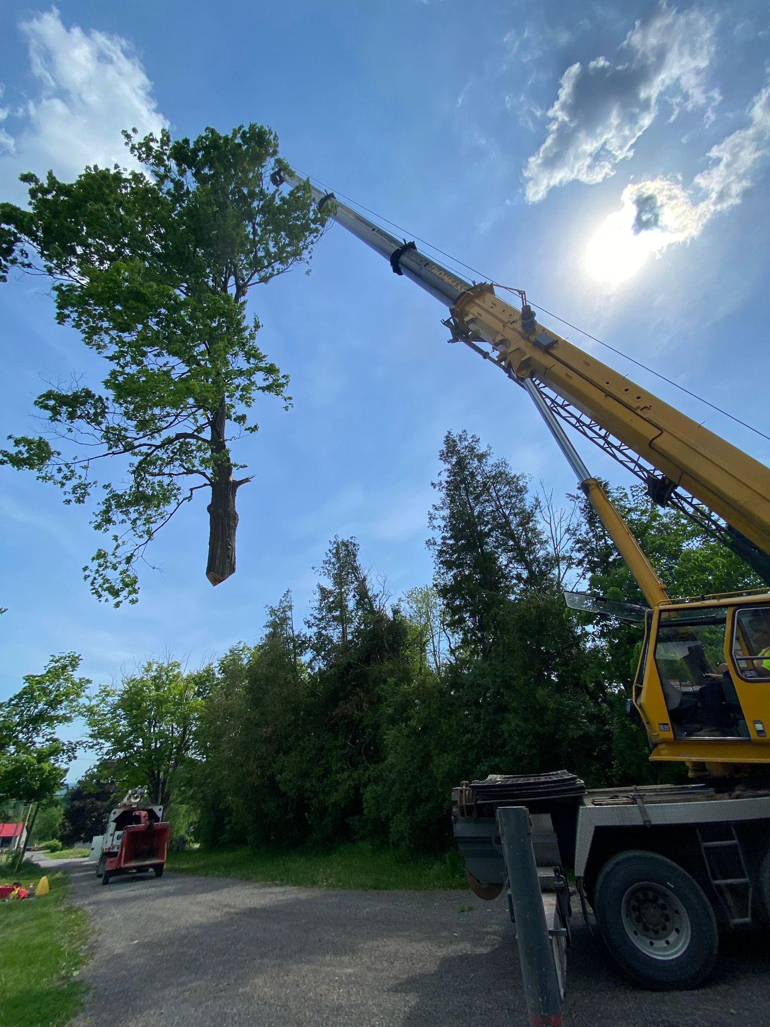 CBL Tree Service | Certified Arborists | Trusted Tree Removal Experts