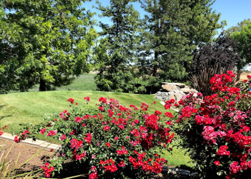 Fuentes Landscape Garden | Kern County