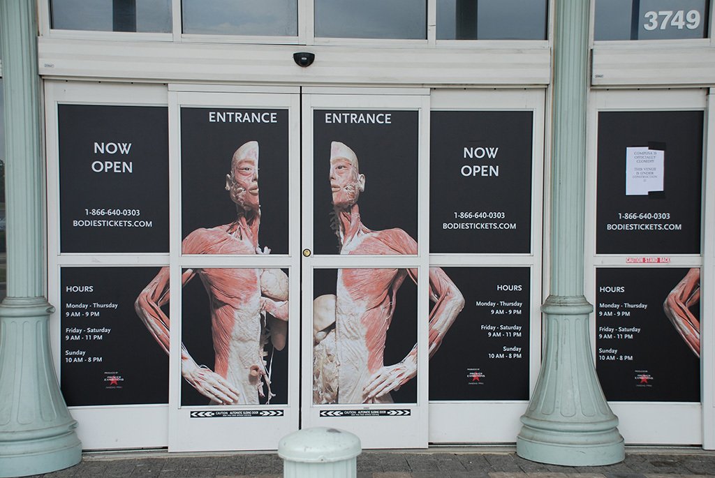 Store Front Window Graphics, Retail Window Graphics | Akron OH