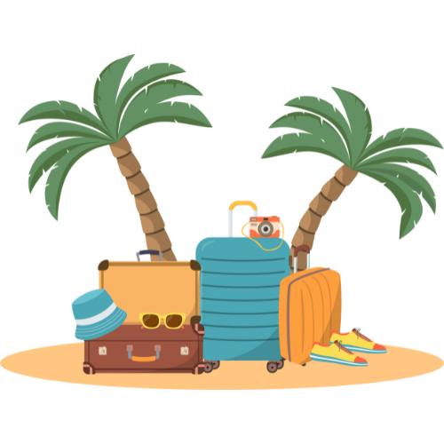 Understanding Aruba's Weather: What to Expect Year-Round