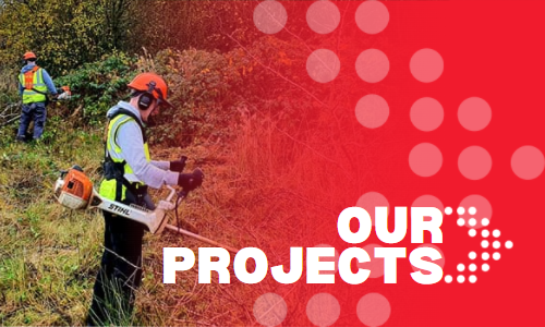 Home [www.tafy.co.uk]