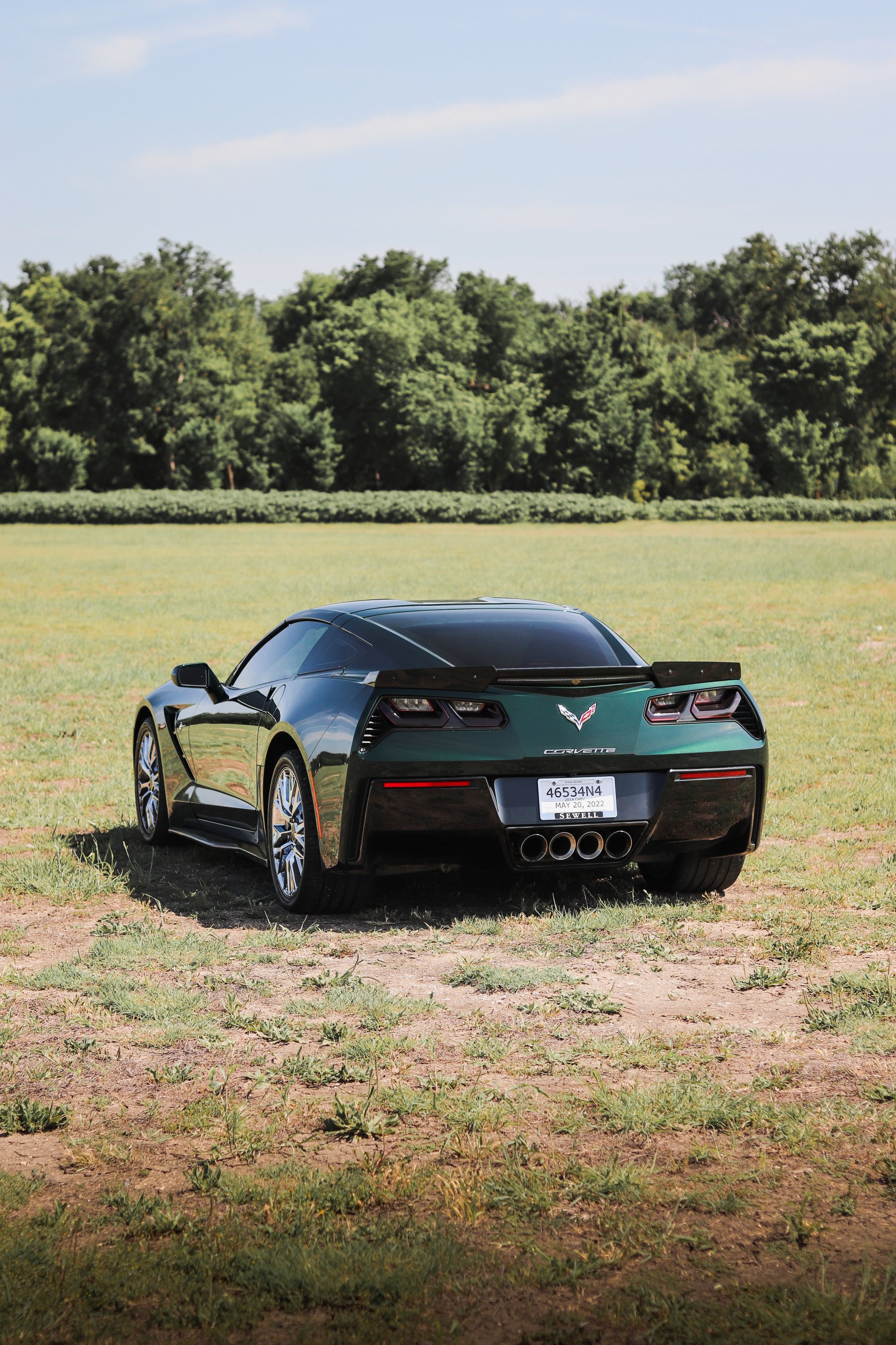 Chevrolet C7 Stingray | Roma Exotic Rentals