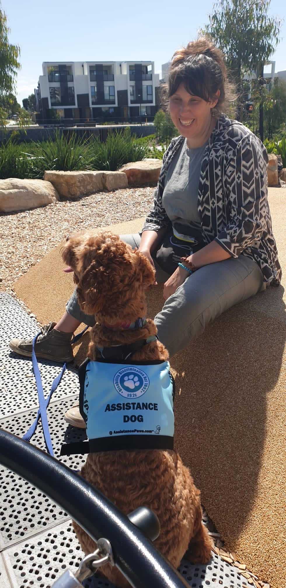 Assistance Dog Australia - Misty Mountain Labradoodles