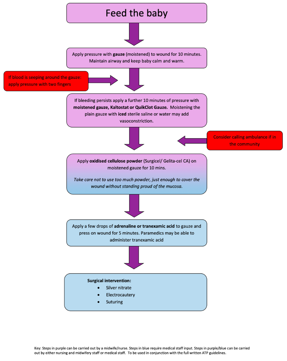 Bleeding Guidelines | Tongue-tie Practitioners