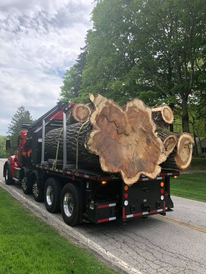 Tree Service | Chardon, OH | Montgomery Tree & Stump Removal