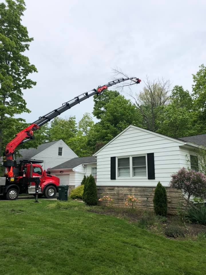 Tree Service | Chardon, OH | Montgomery Tree & Stump Removal
