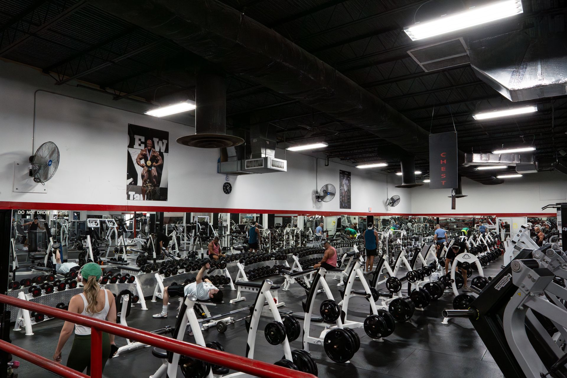 Facilities at Apex Gym | Elite Equipment, Recovery Zones & More in ...