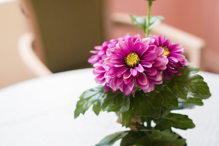 Berkeley Village / Willow Lodge | Cuerden Care