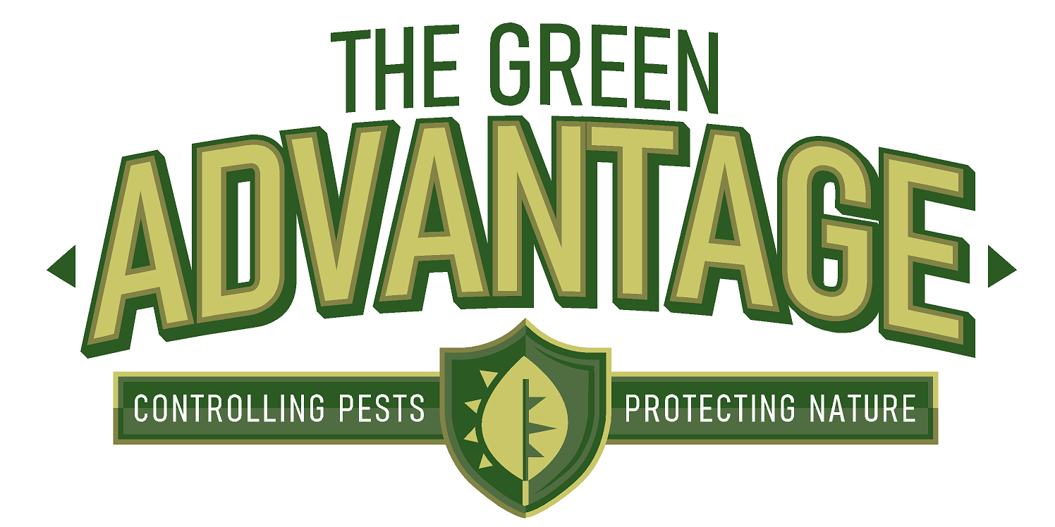 Pest Control Professionals - The Green Advantage