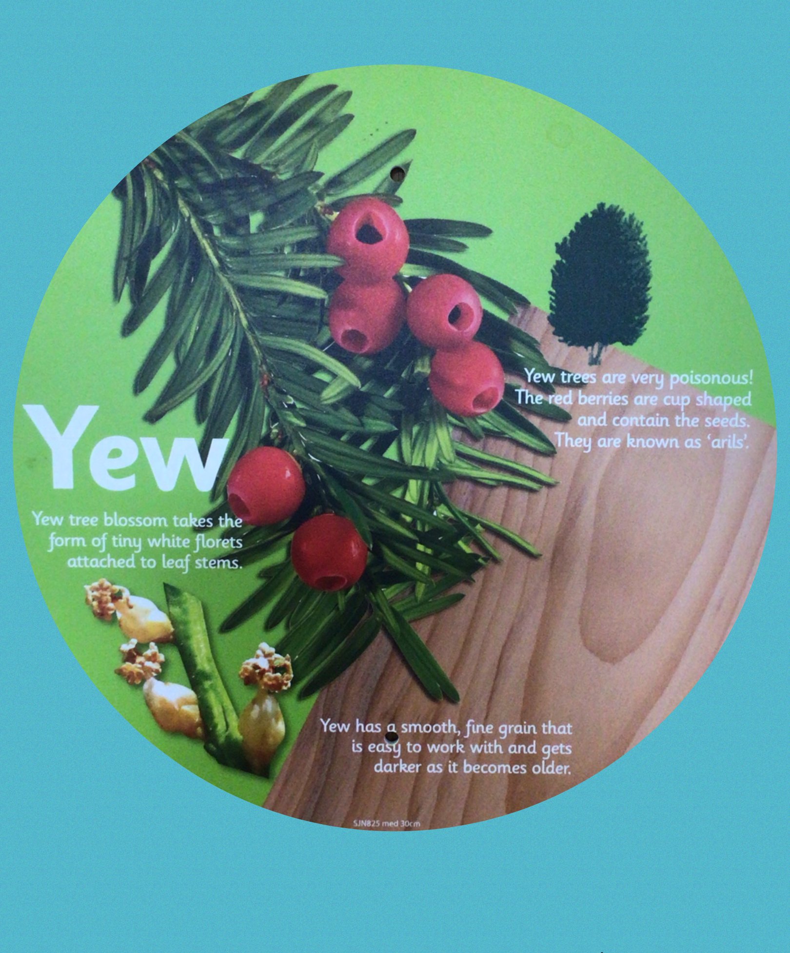 Hudson Primary School - Maghull