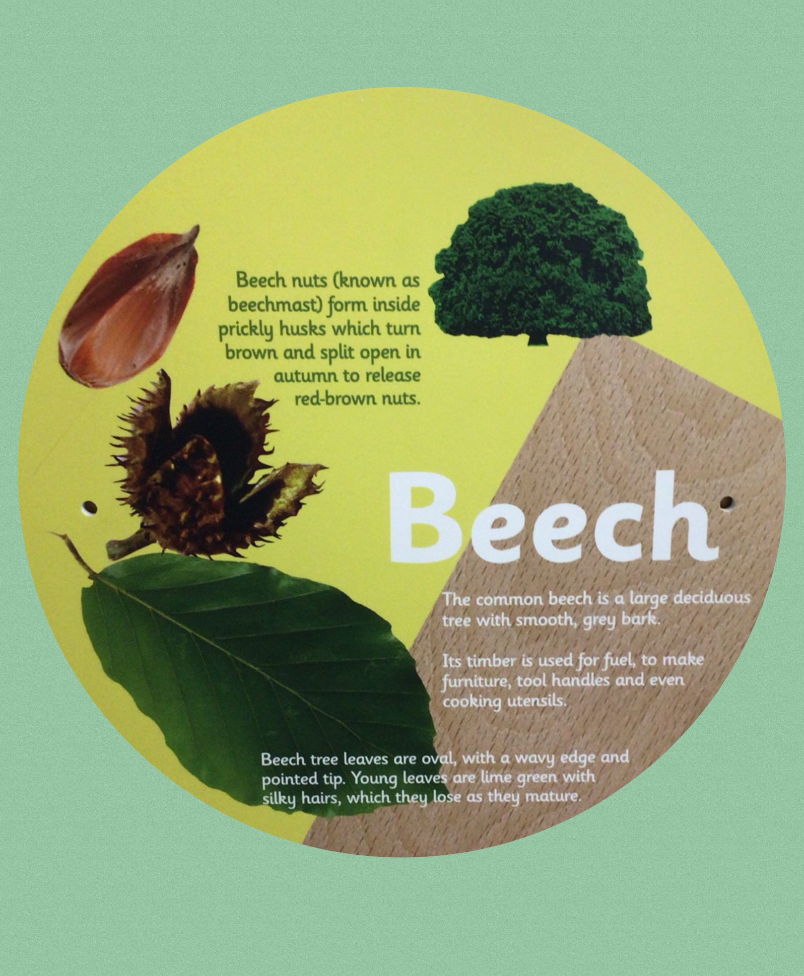 Hudson Primary School - Maghull