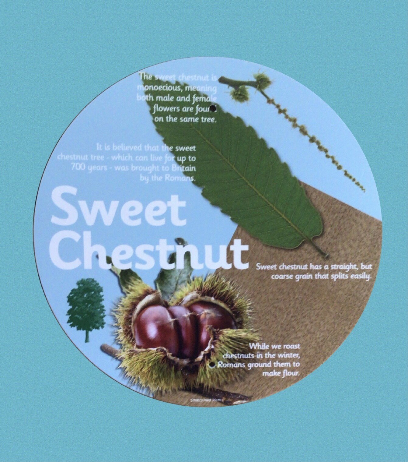 Hudson Primary School - Maghull