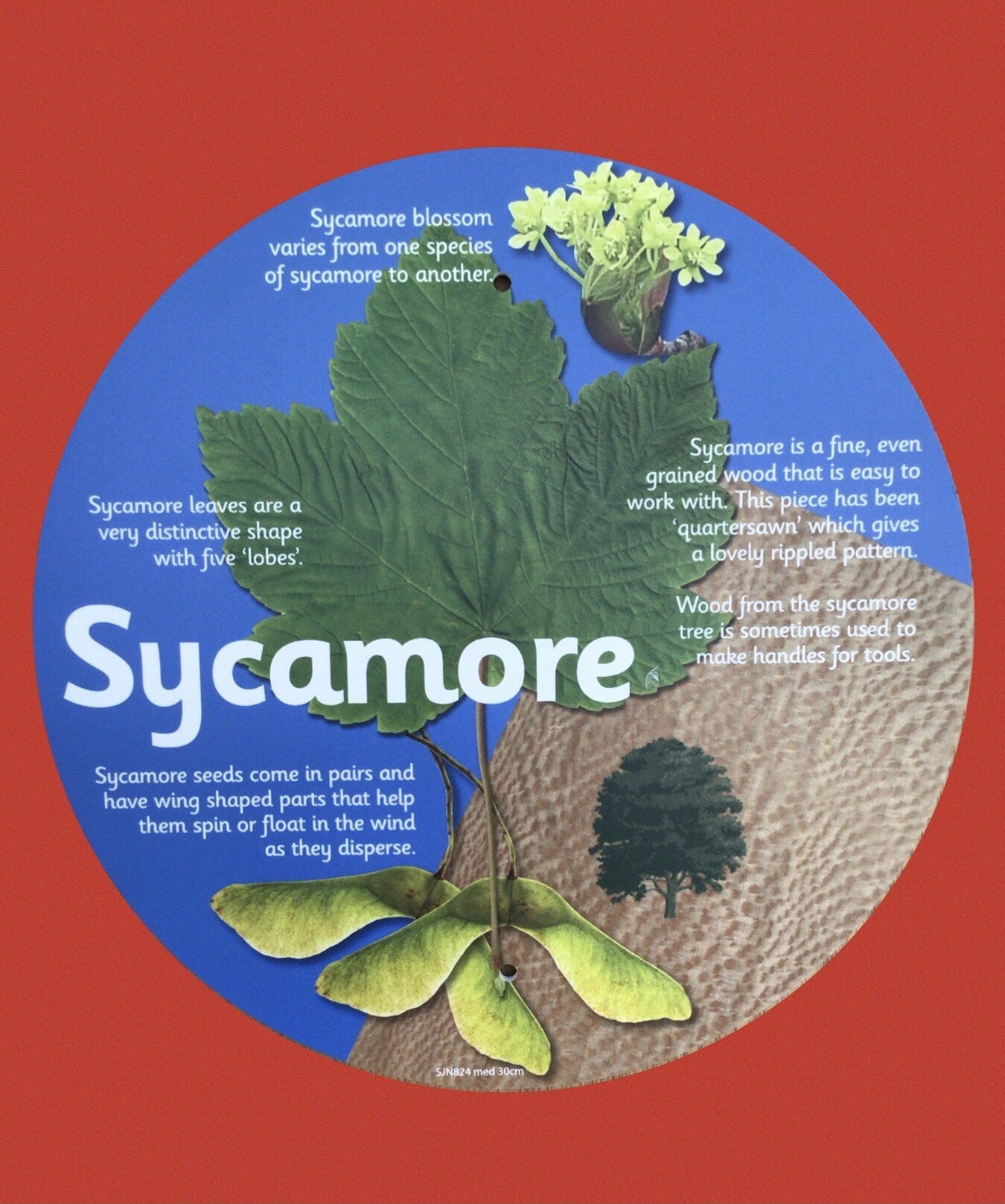 Hudson Primary School - Maghull