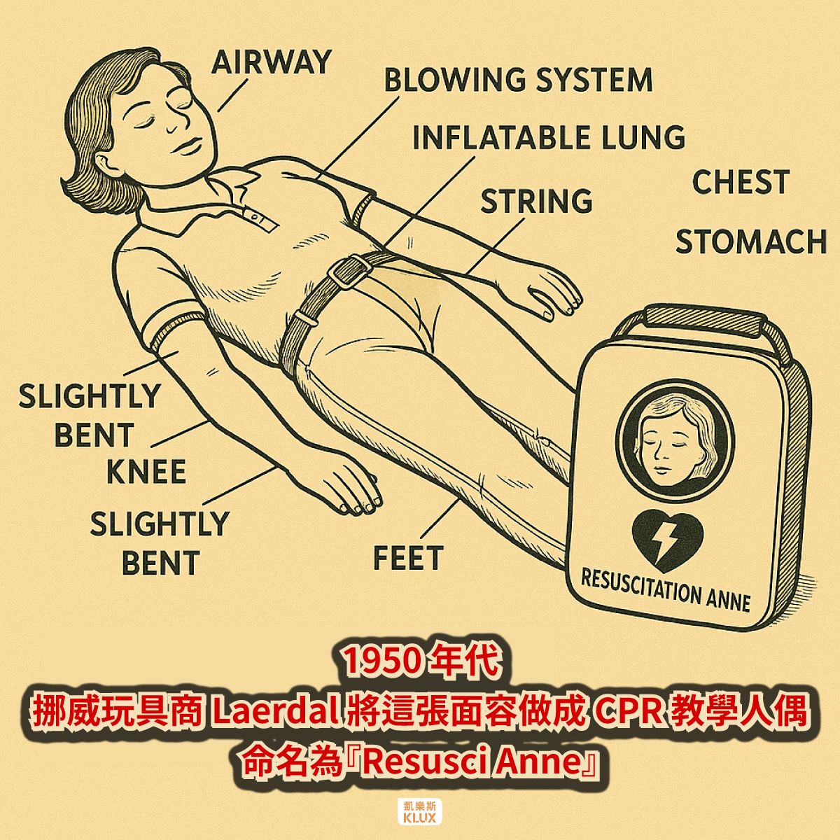 為什麼 CPR 人偶叫安妮？Resusci Anne 背後的真實歷史與生命教育意義