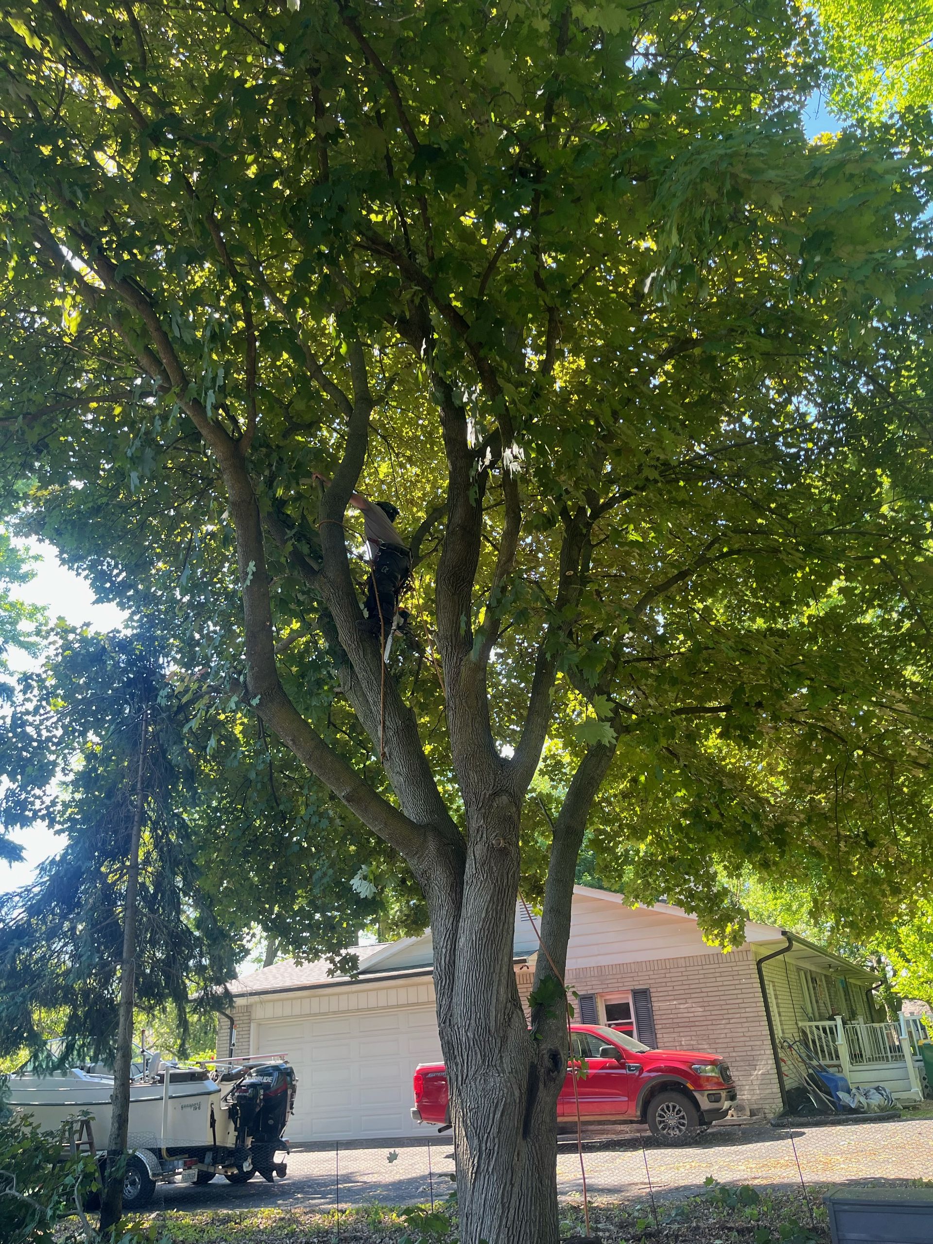 Tree Services & Landscaping Project Gallery | Nate's Outdoor Services