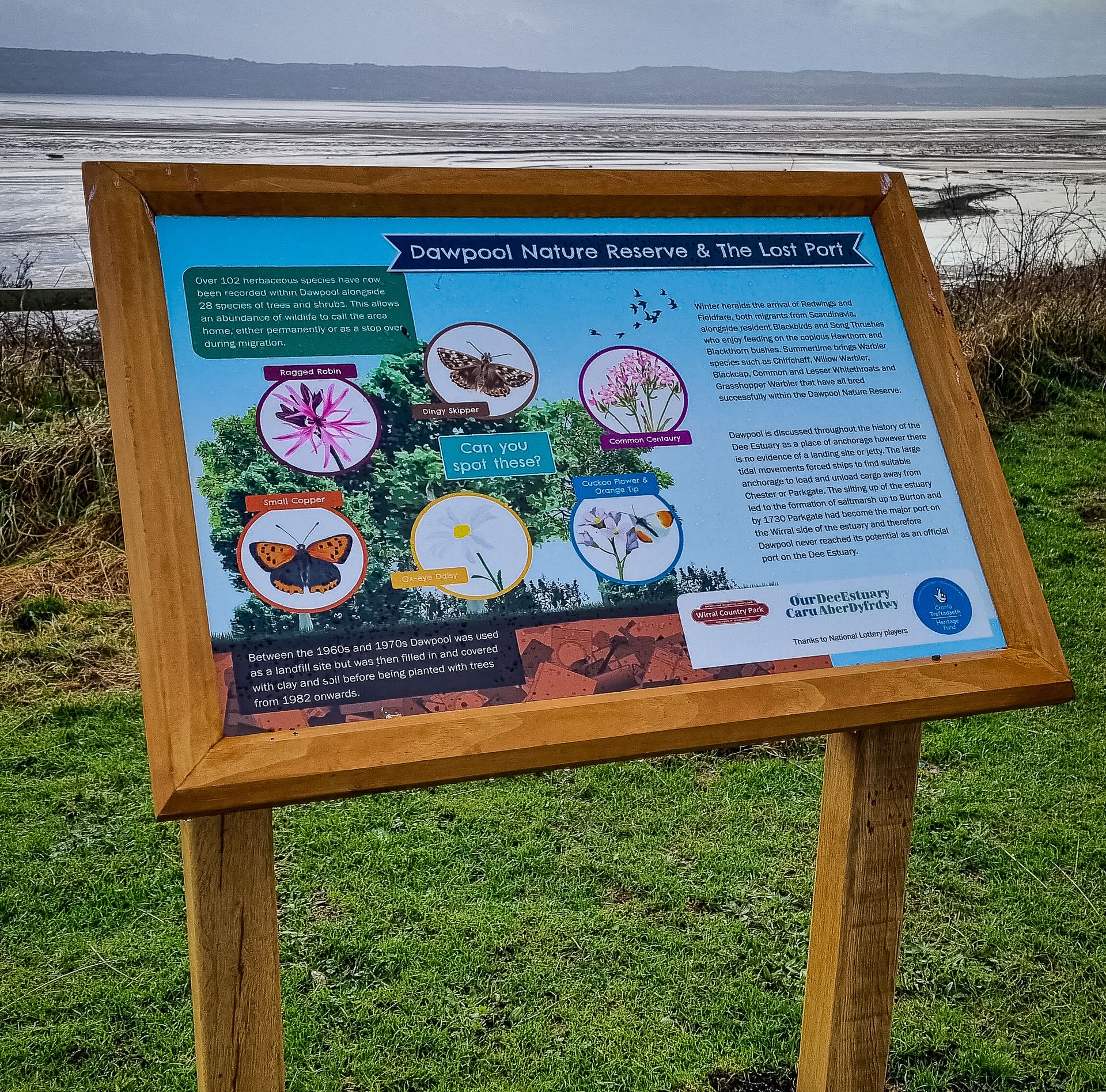 Project case studies.