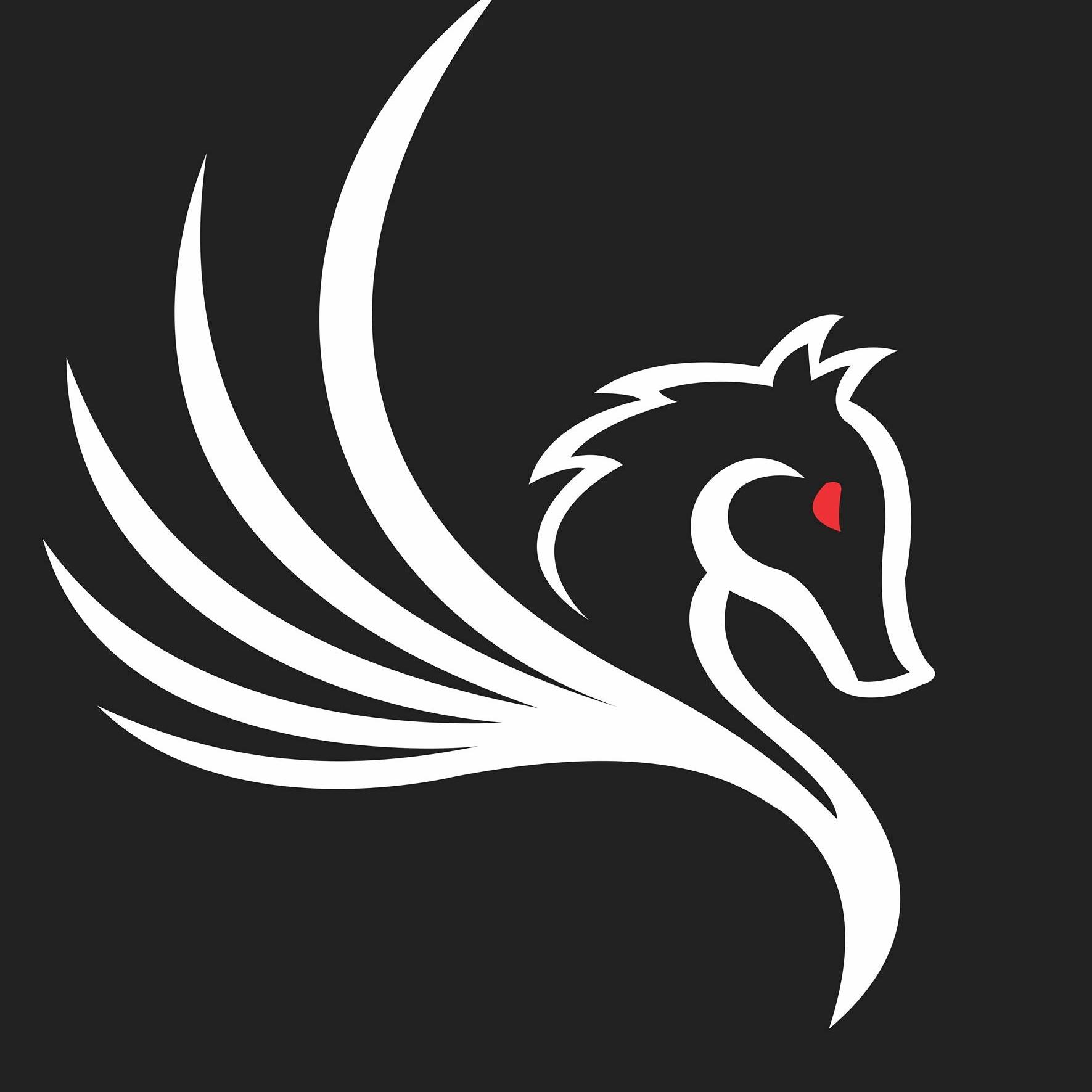 Pegasus Screenprints | Screen Printing in Lismore
