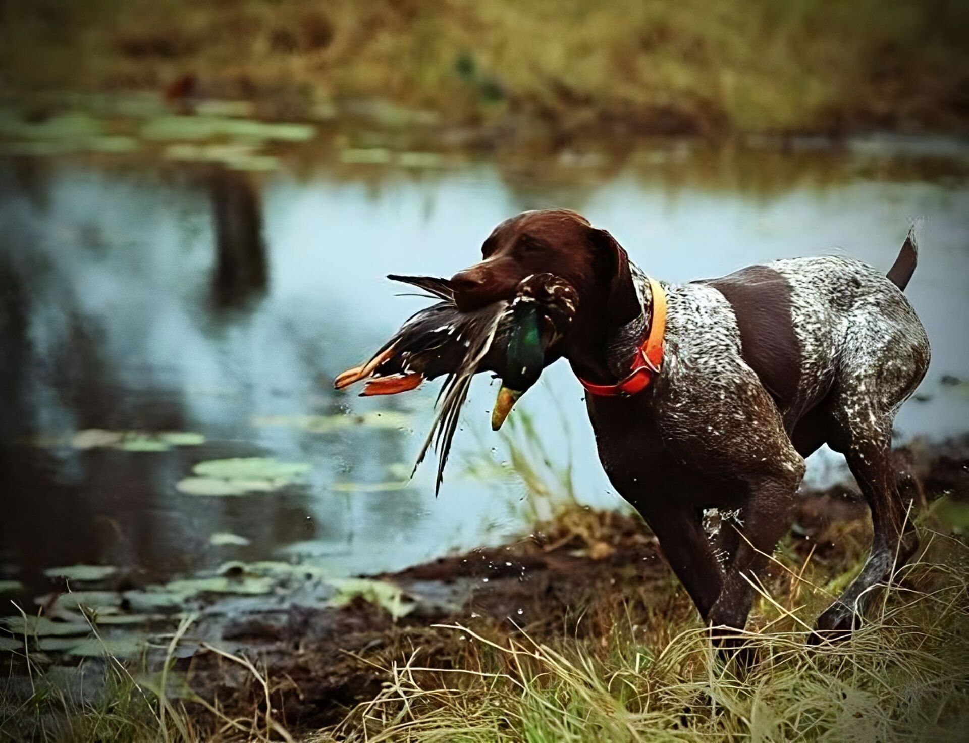 About Us | On Point Wealth Management