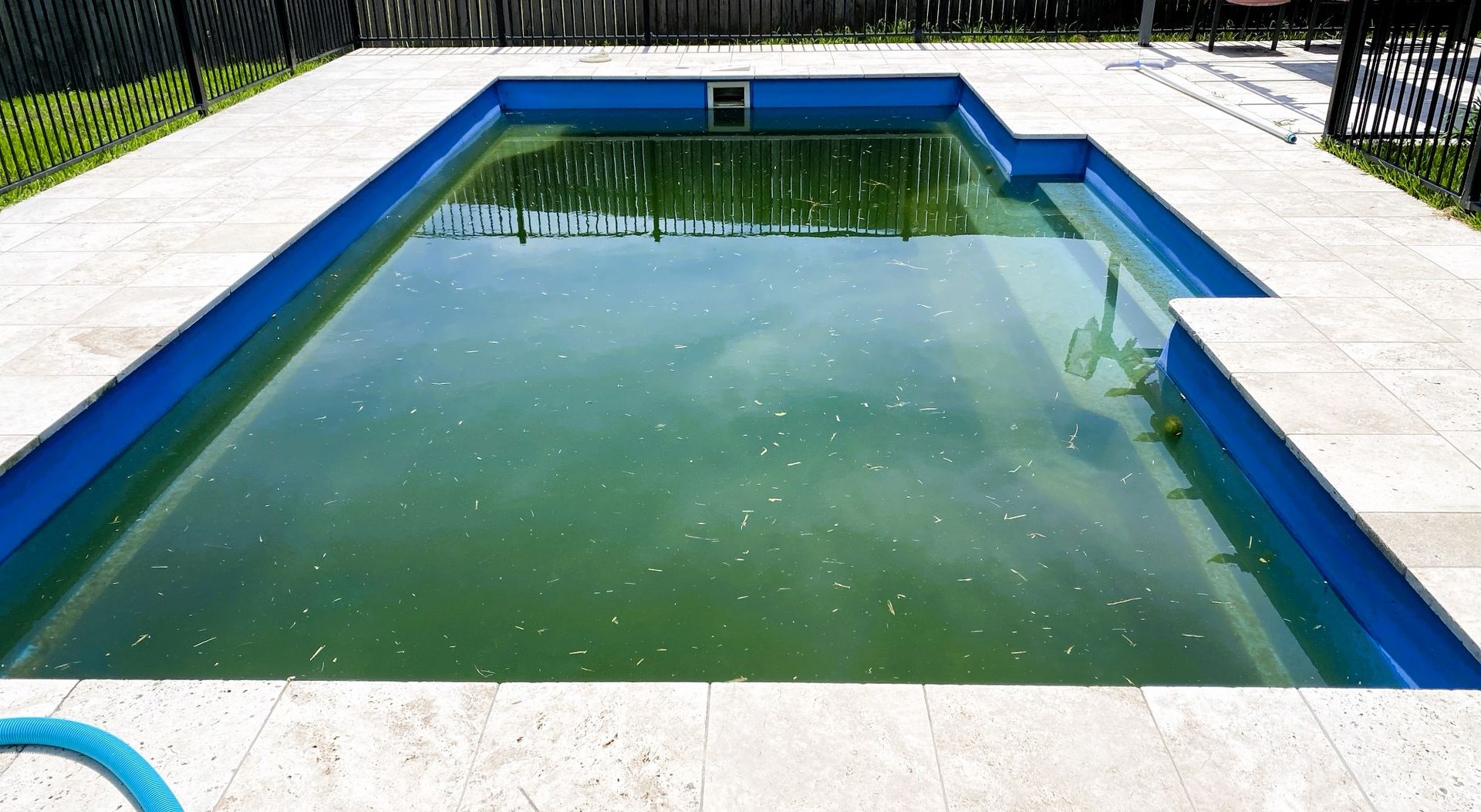 Pool Service in Taree | Taree Pool Supplies
