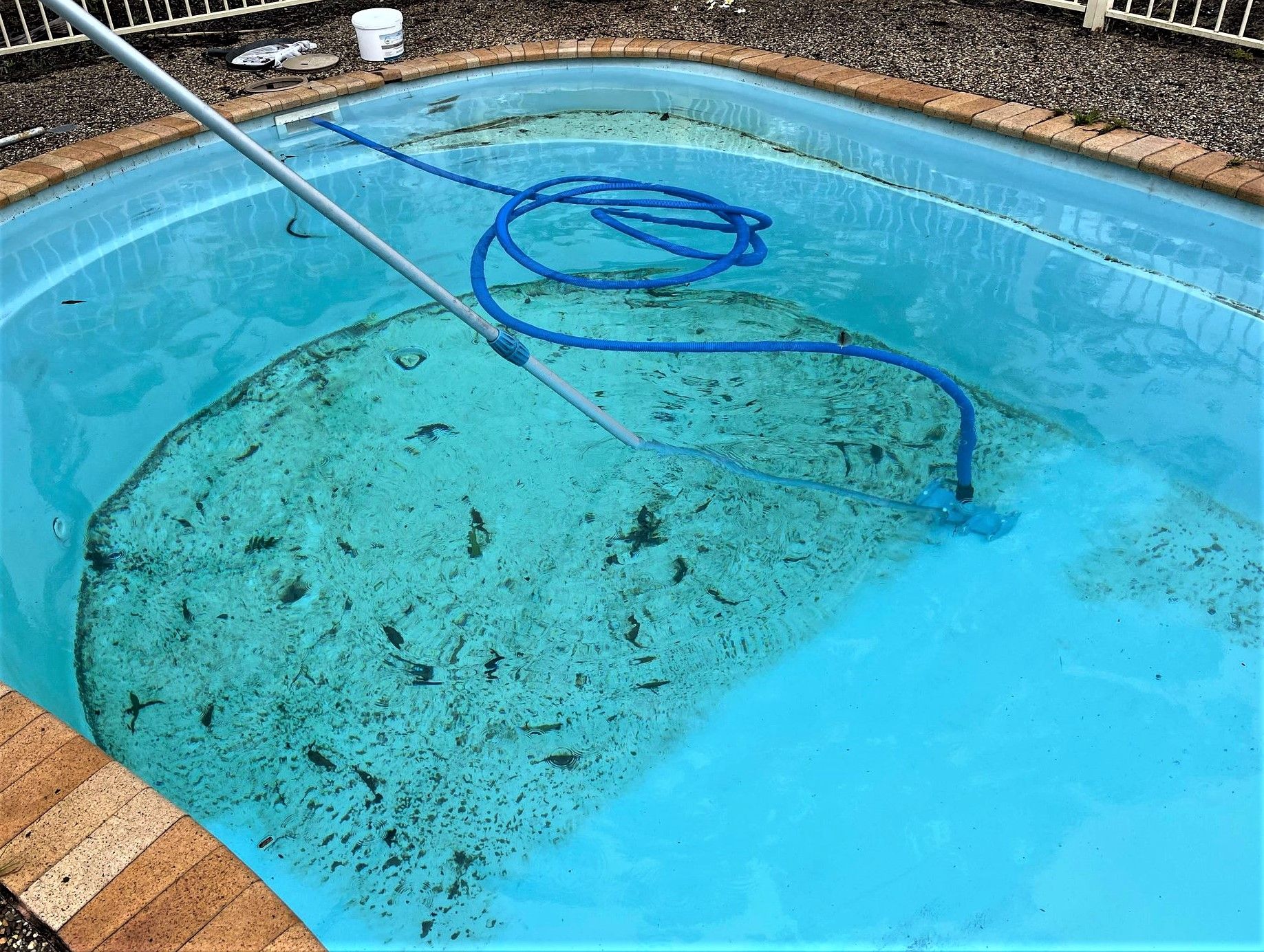 Green Pool Treatment in Taree | Taree Pool Supplies