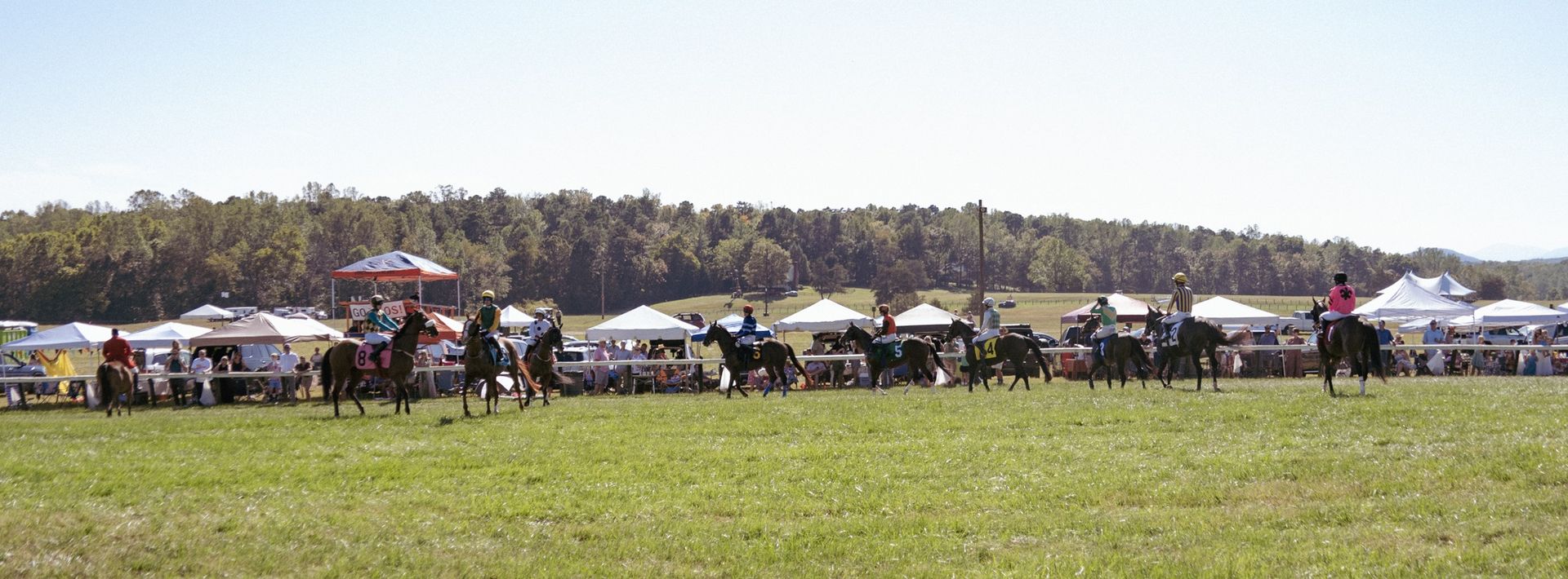 Foxfield Races - TICKETS- Steeplechase Racing in the Heart of Virginia