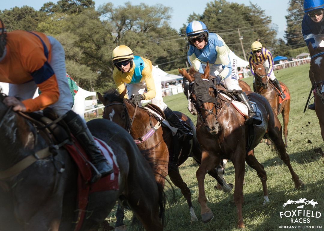 Foxfield Races - ABOUT- Steeplechase Racing in the Heart of Virginia