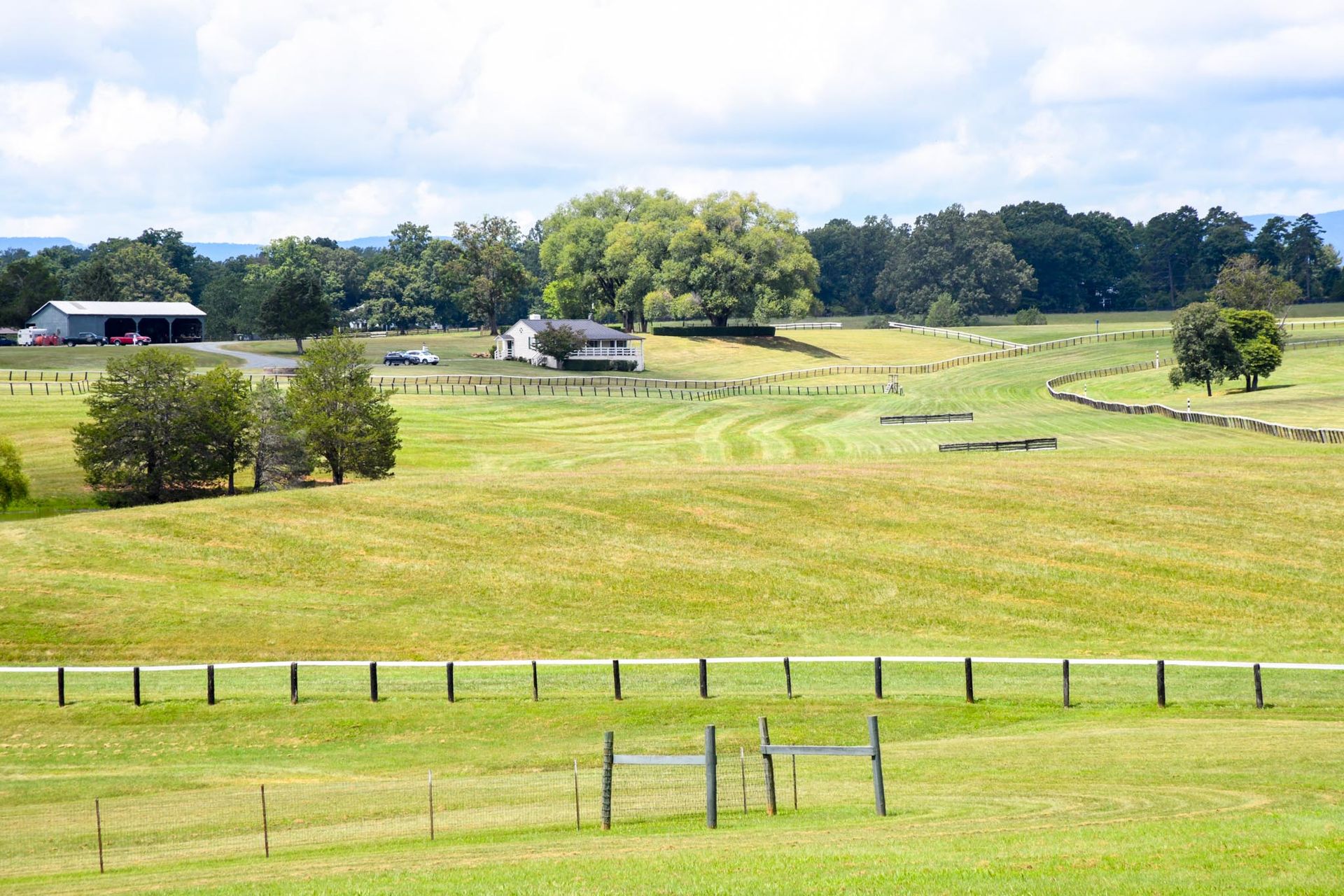 Foxfield Races - ABOUT- Steeplechase Racing in the Heart of Virginia