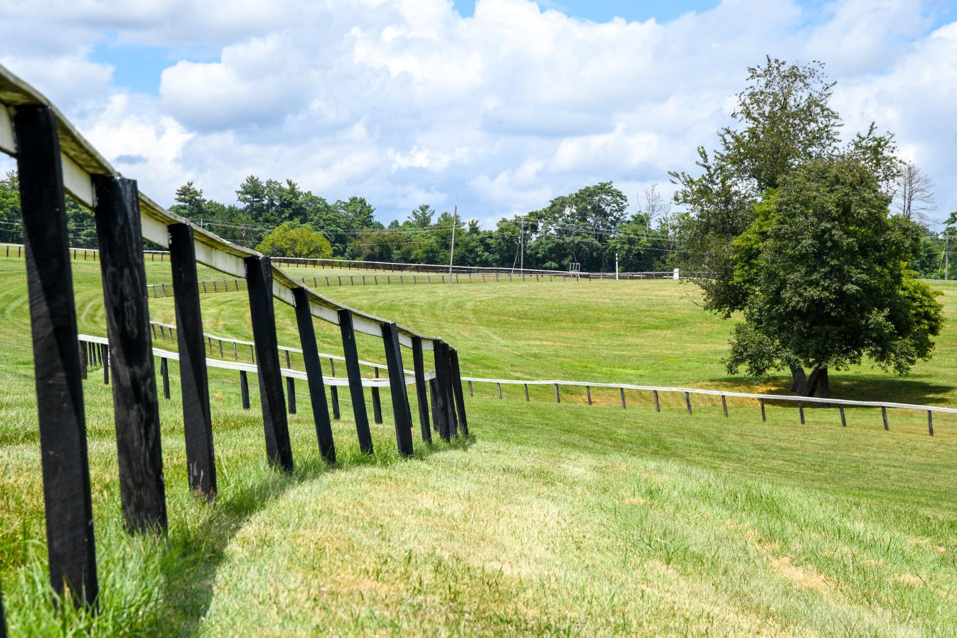 Foxfield Races - ABOUT- Steeplechase Racing in the Heart of Virginia