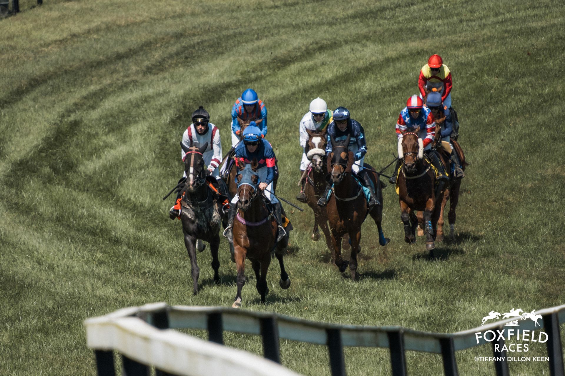 Foxfield Races - ABOUT- Steeplechase Racing in the Heart of Virginia