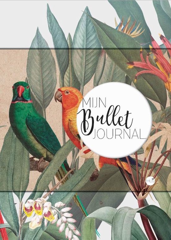 Boekrecensie over het boek Mijn Bullet Journal Tulpen