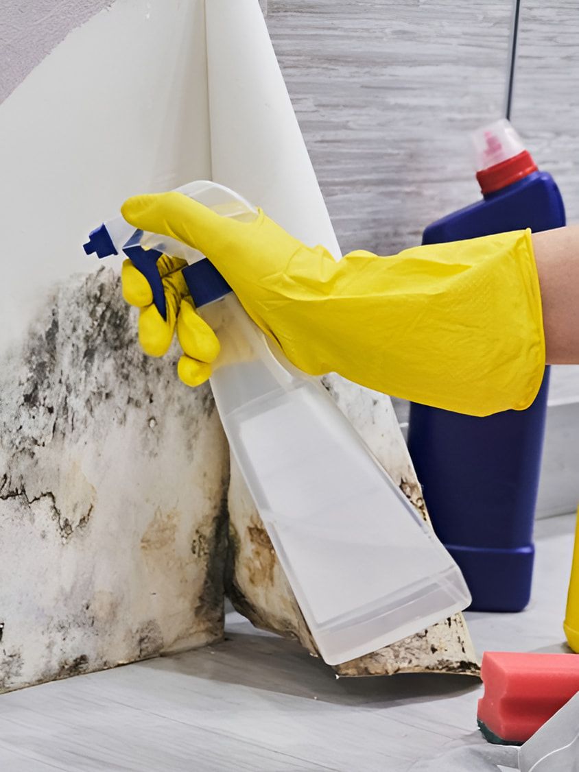 Industrial Cleaning Products in Mareeba | DP Cleaning Supplies