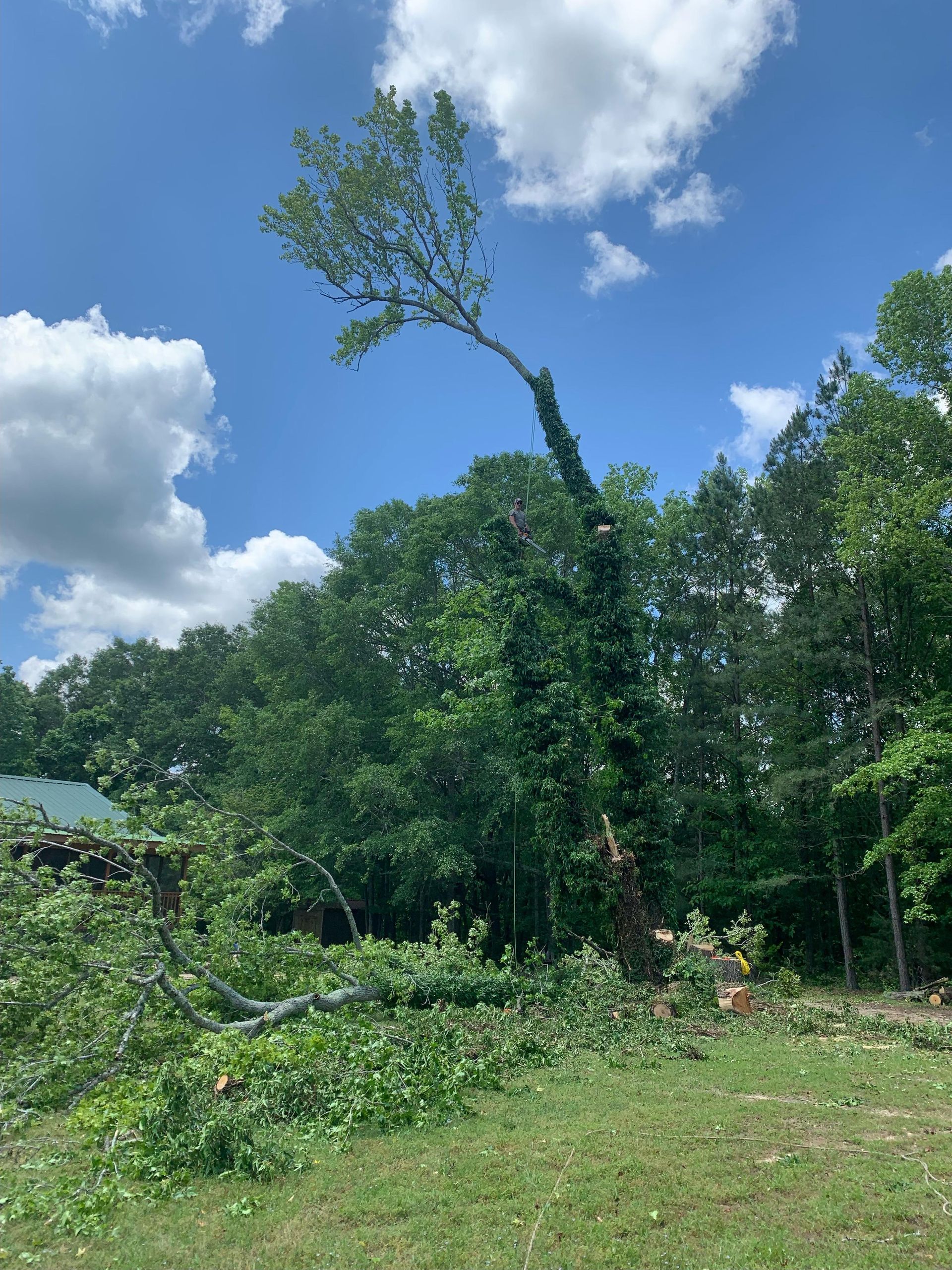 Adam's Tree Service - Top Rated Tree Service - Fountain Inn, South Carolina