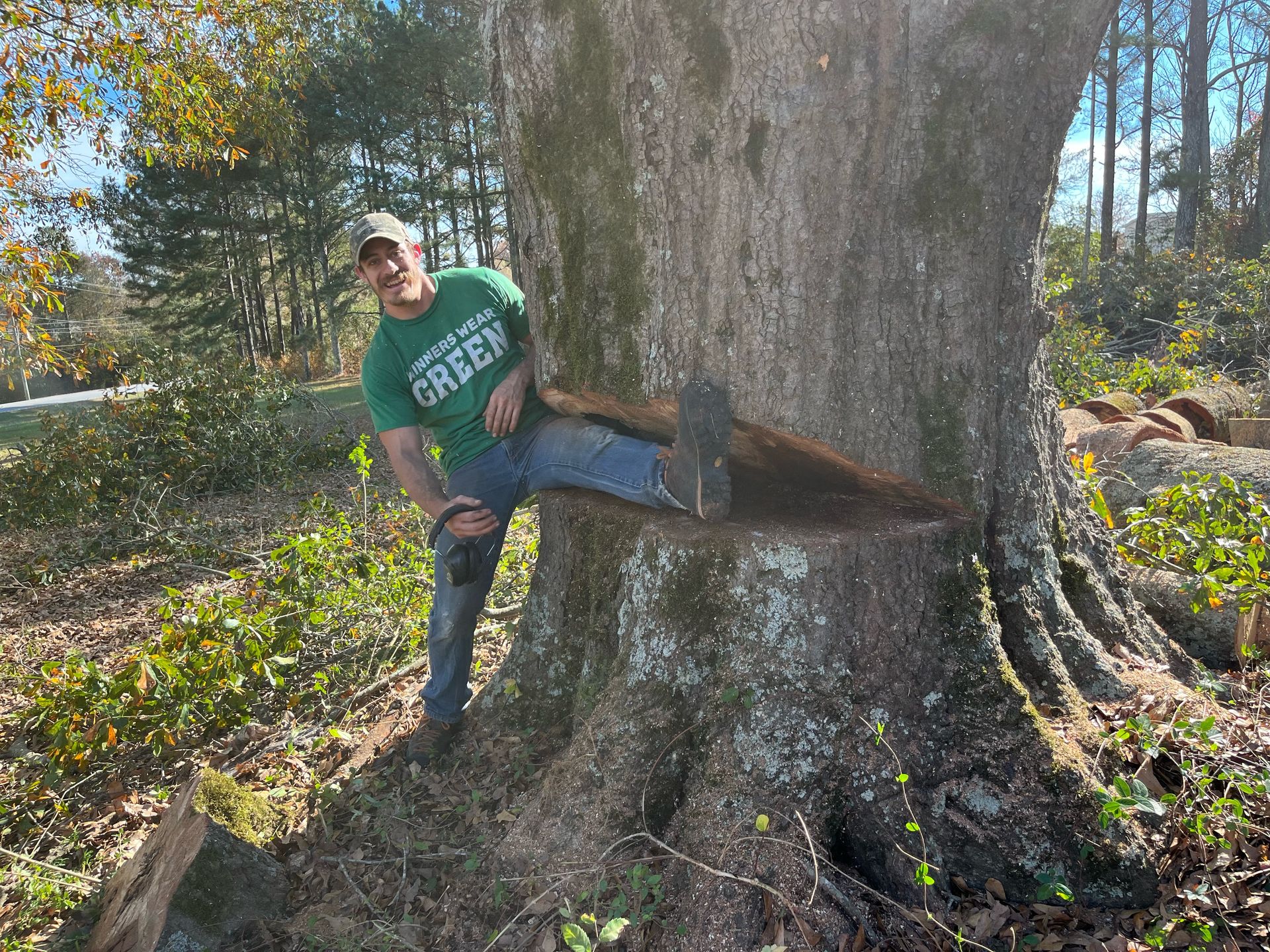 Adam's Tree Service - Top Rated Tree Service - Fountain Inn, South Carolina