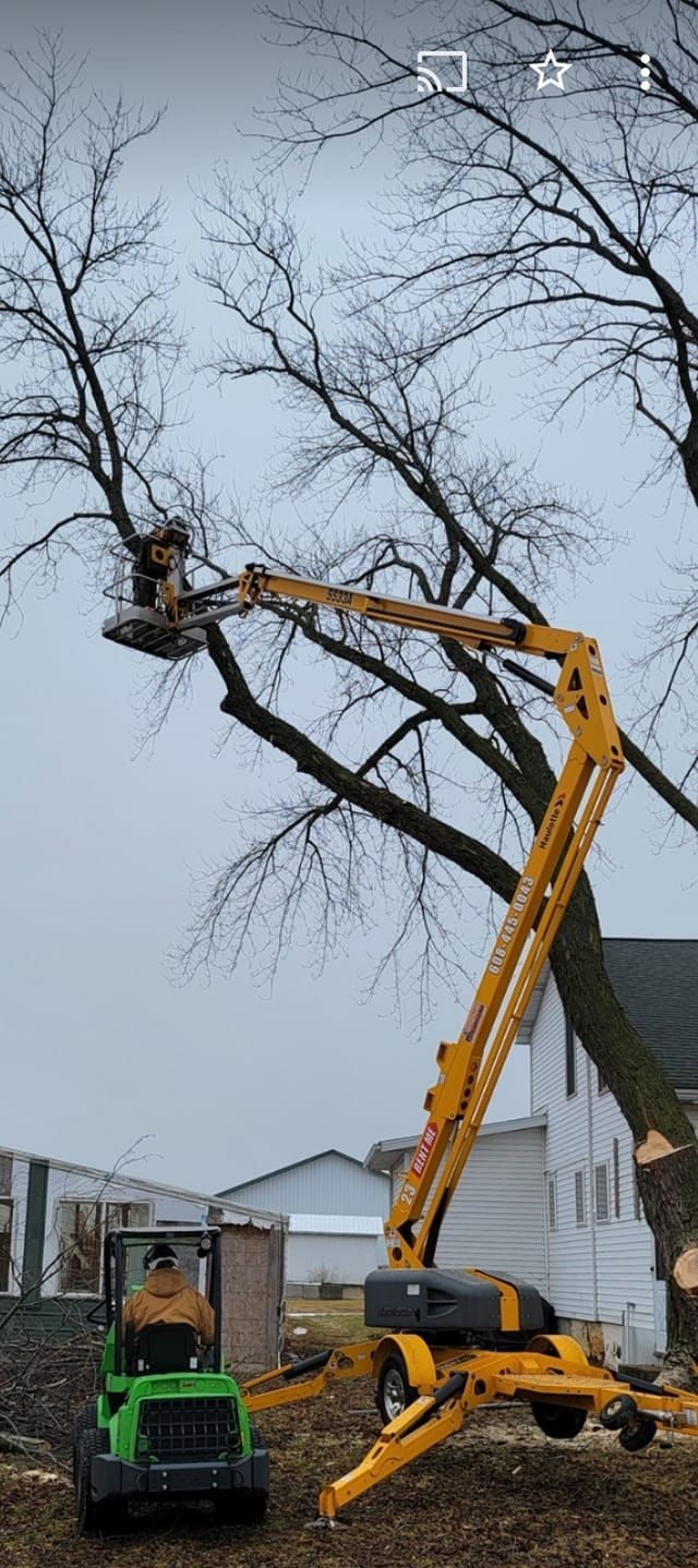 Local Tree Contractor, Tree Removal Company | Dalton, Pardeeville ...