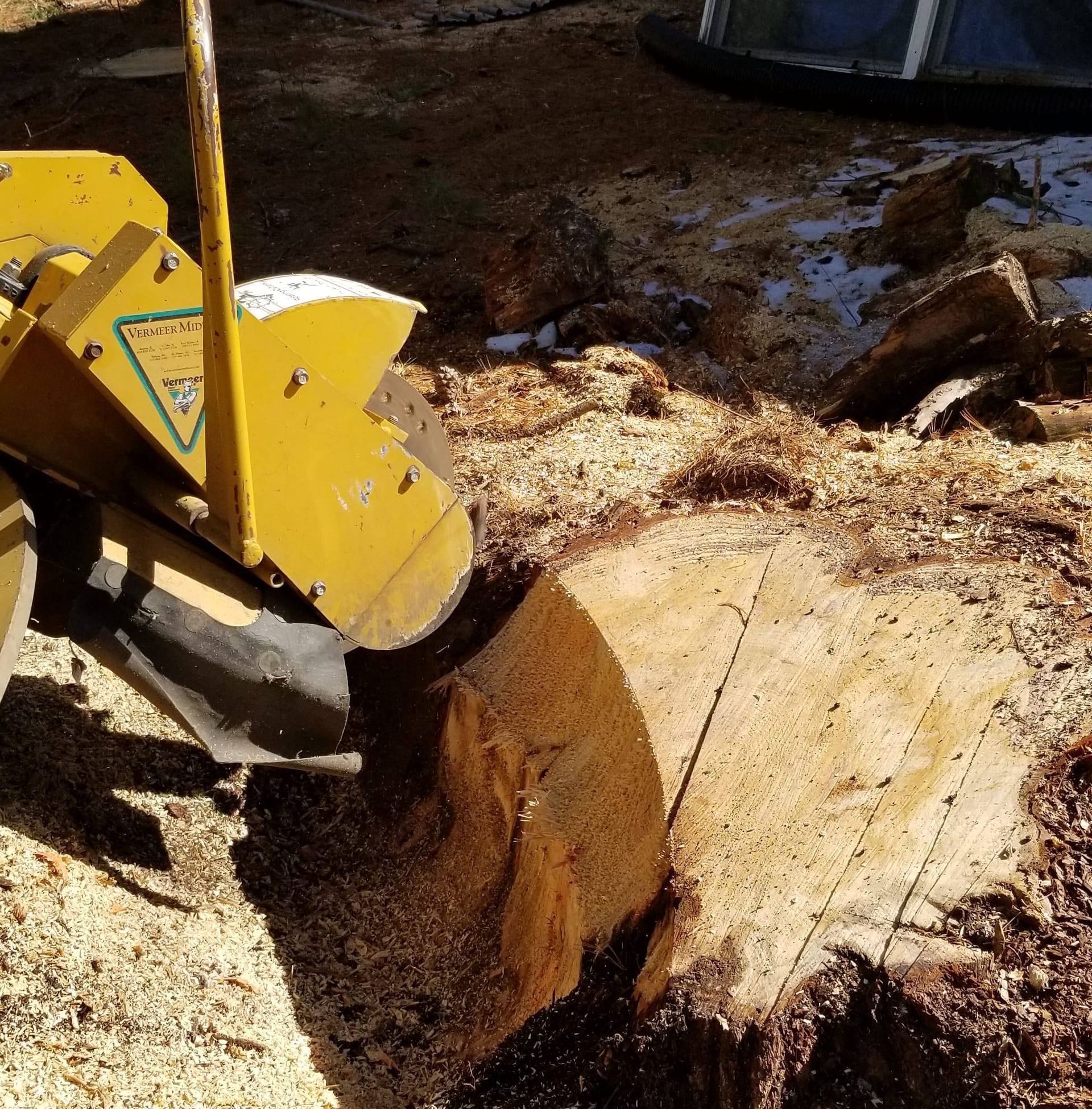 Local Tree Contractor, Tree Removal Company | Dalton, Pardeeville ...